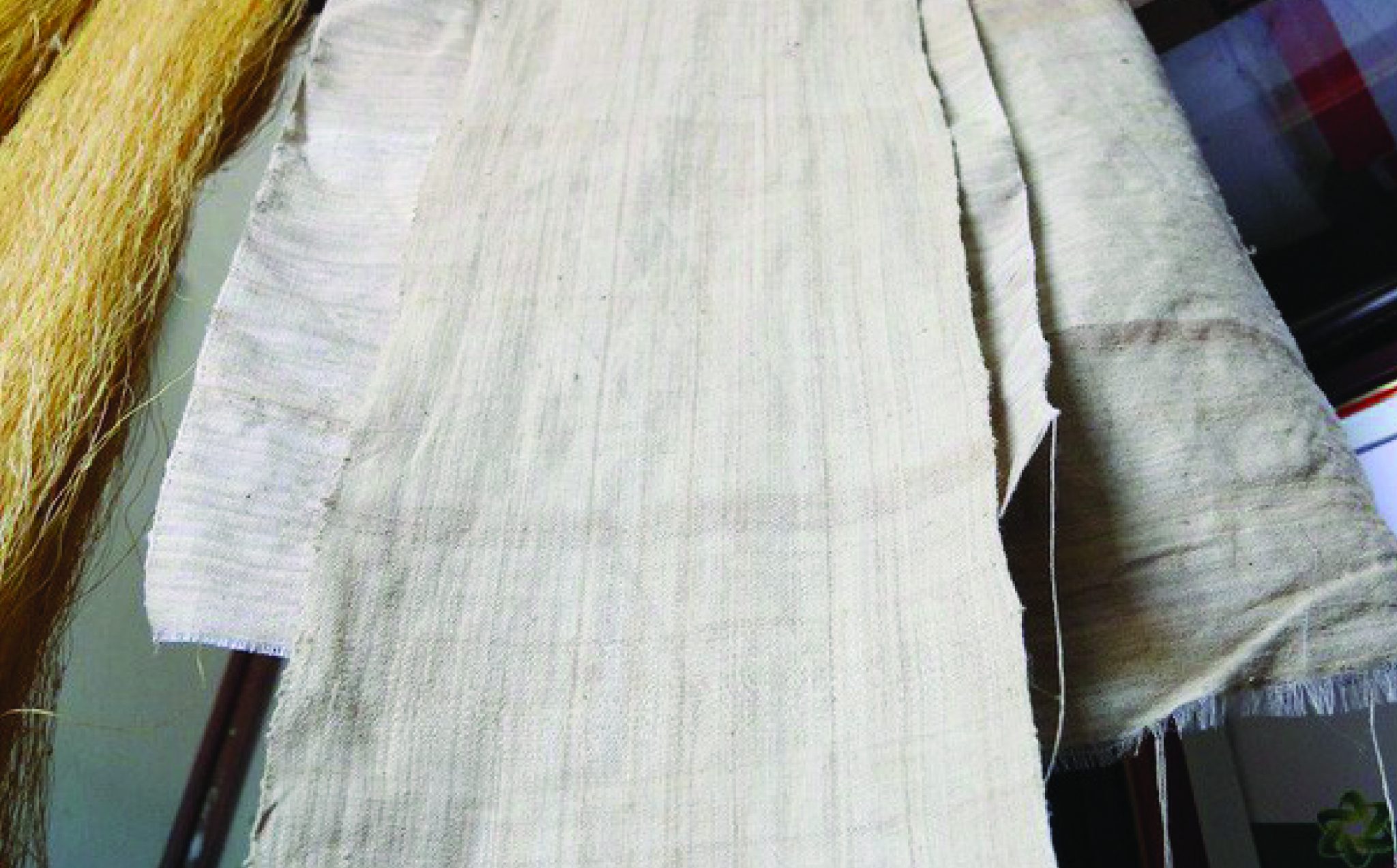 What is lotus silk fabric? - Sen Lụa Đồng Tháp